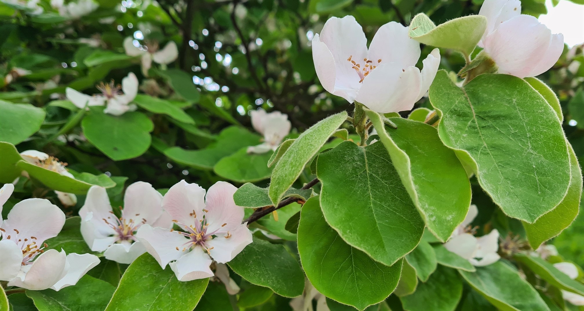 Stress-Resilienz – Berlin Methode – Kay Helmich